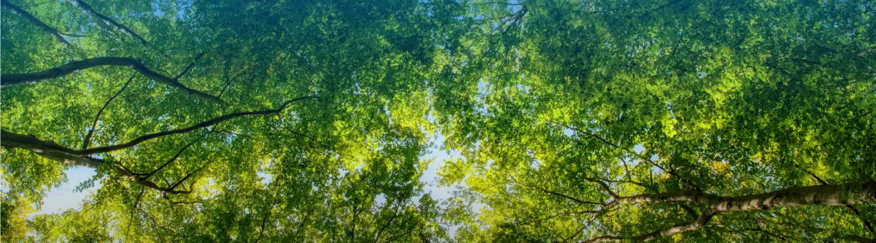 Environment | PTTEP