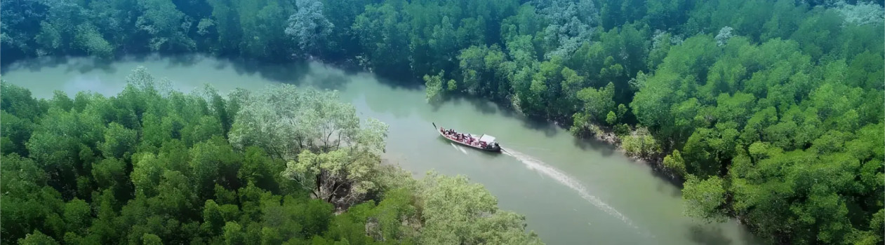 Environmental Management | PTTEP